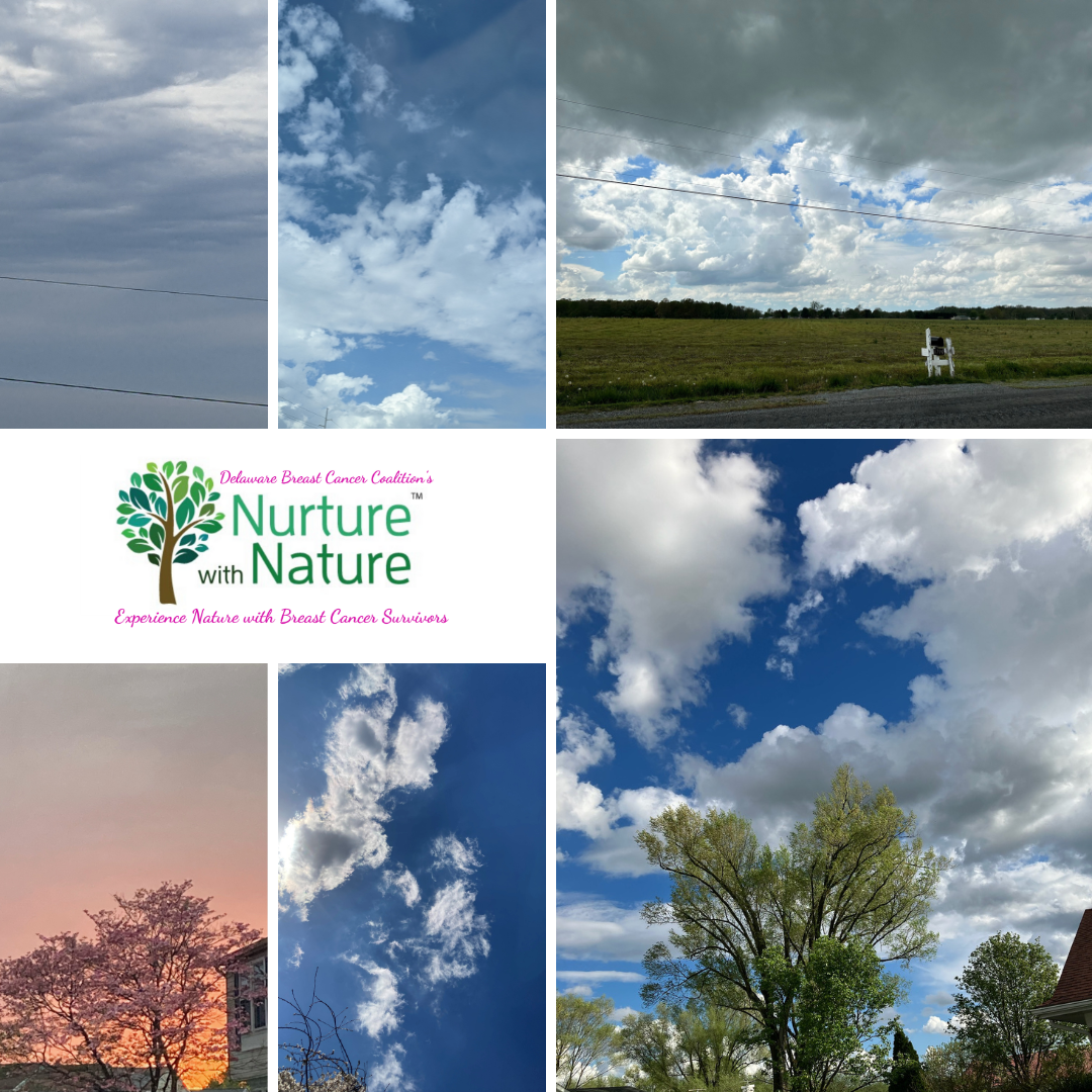 Nurture with Nature At Home Photography Challenge: Birdhouses ...