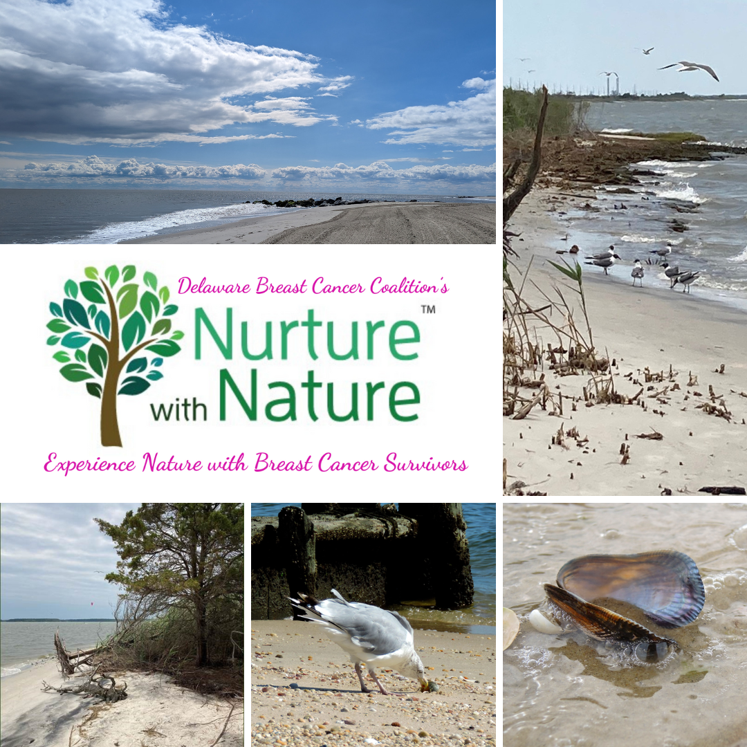 Nurture with Nature At Home Photography Challenge: Farm Animals ...