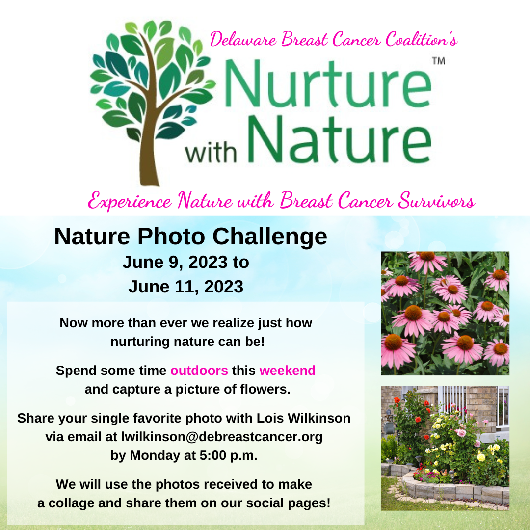 Nurture with Nature At Home Photography Challenge: Outdoor Flowers ...