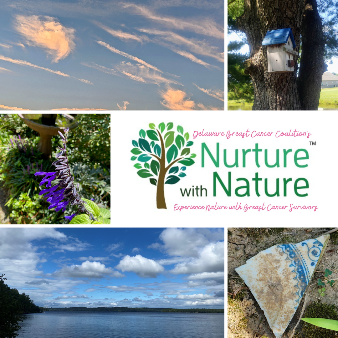 Nurture with Nature At Home Photography Challenge -Crape Myrtle trees ...