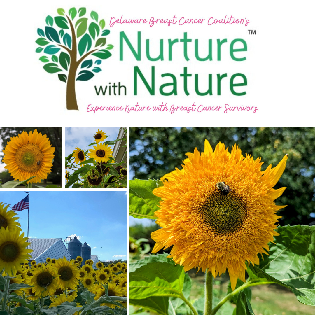 Nurture with Nature at Home Photography Challenge- First signs of fall ...