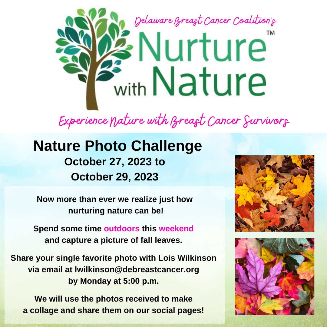 Nurture with Nature at Home Photography- Fall Leaves – Delaware Breast ...