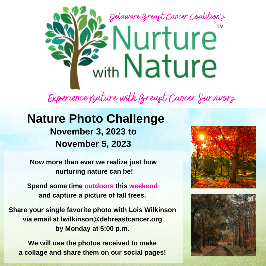 Nurture with Nature at Home Photography – Fall Trees – Delaware Breast ...
