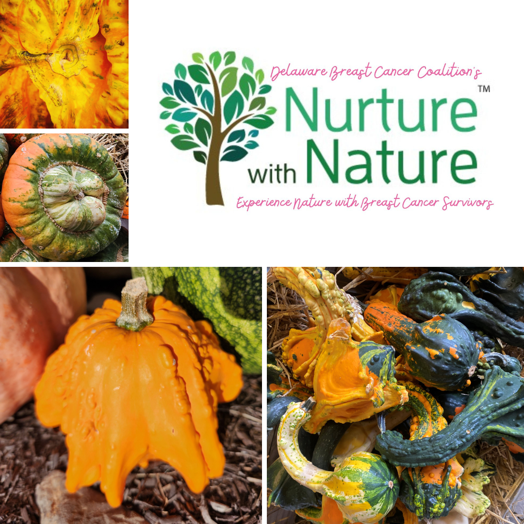 Nurture with Nature at Home Photography- Fall Leaves – Delaware Breast ...