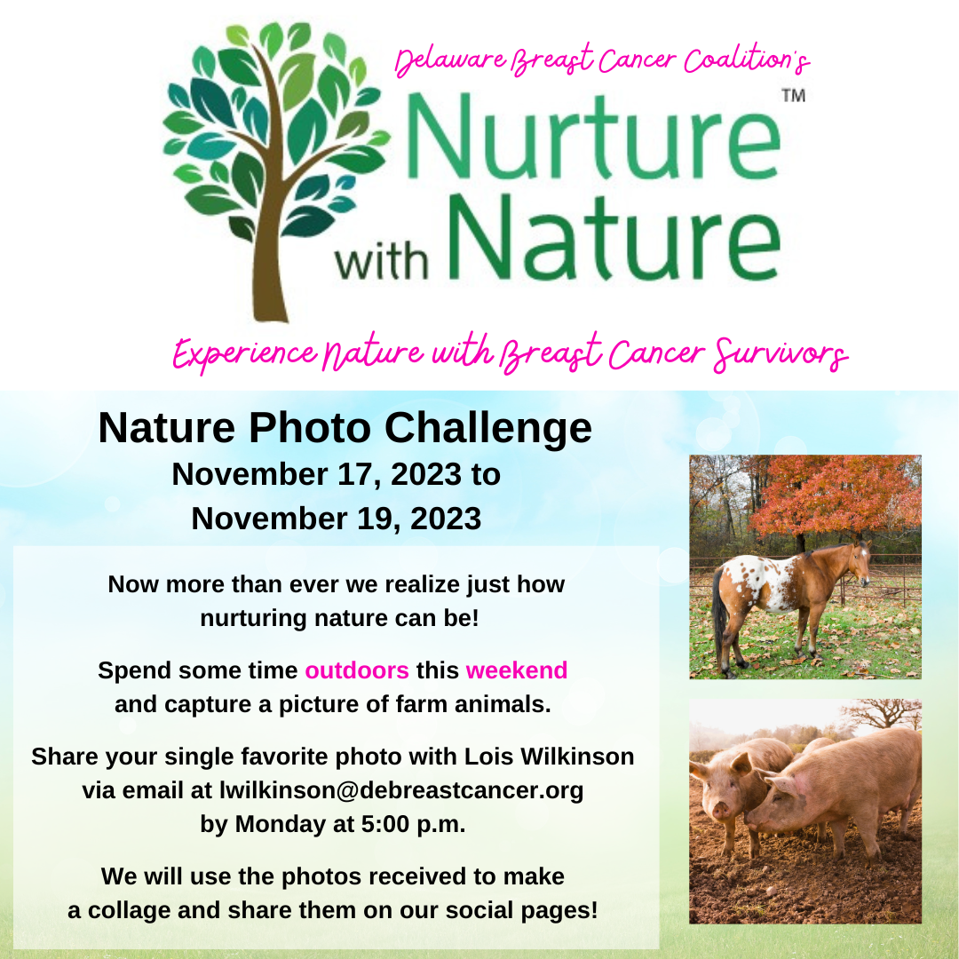 Nurture with Nature at Home Photography Challenge: Farm Animals ...