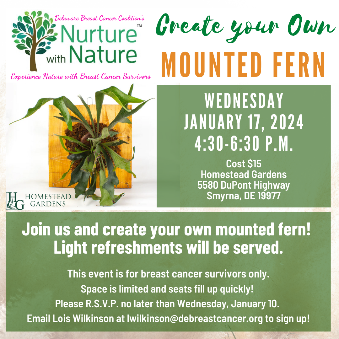 Nurture with Nature Create Your Own Mounted Fern – Delaware Breast ...