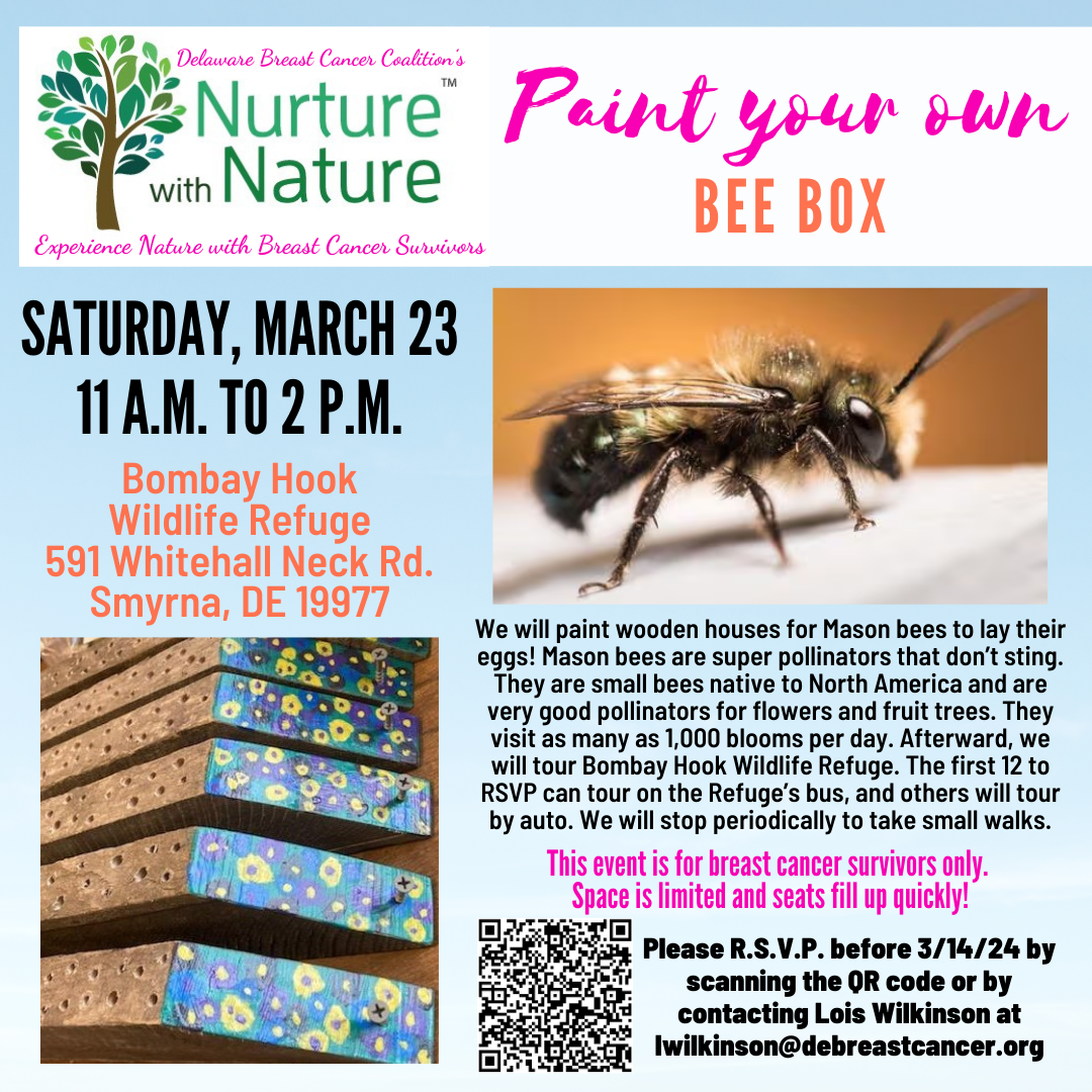 Nurture with Nature – Paint your own Bee Box! – Delaware Breast Cancer ...