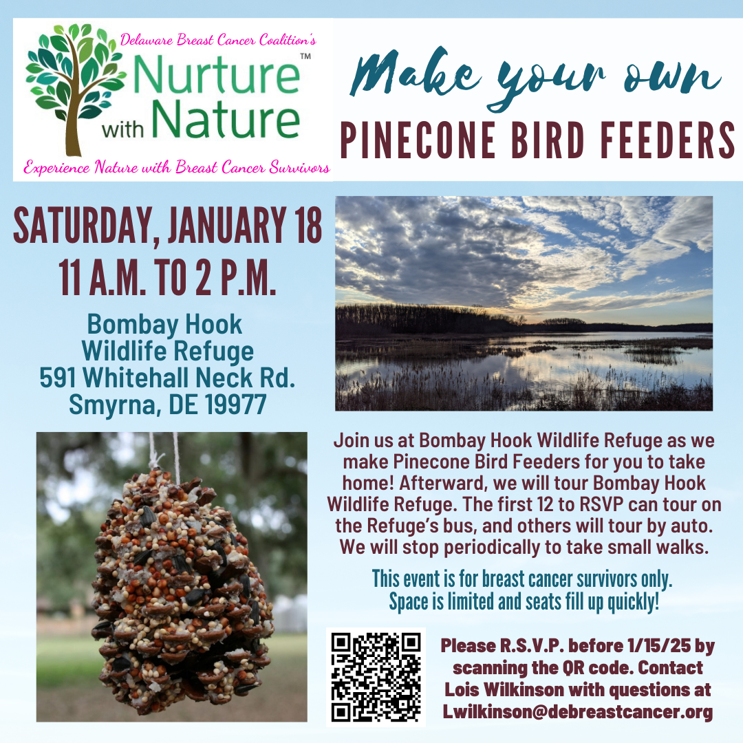 Nurture with Nature Make Your Own Pinecone Bird Feeders – Delaware ...